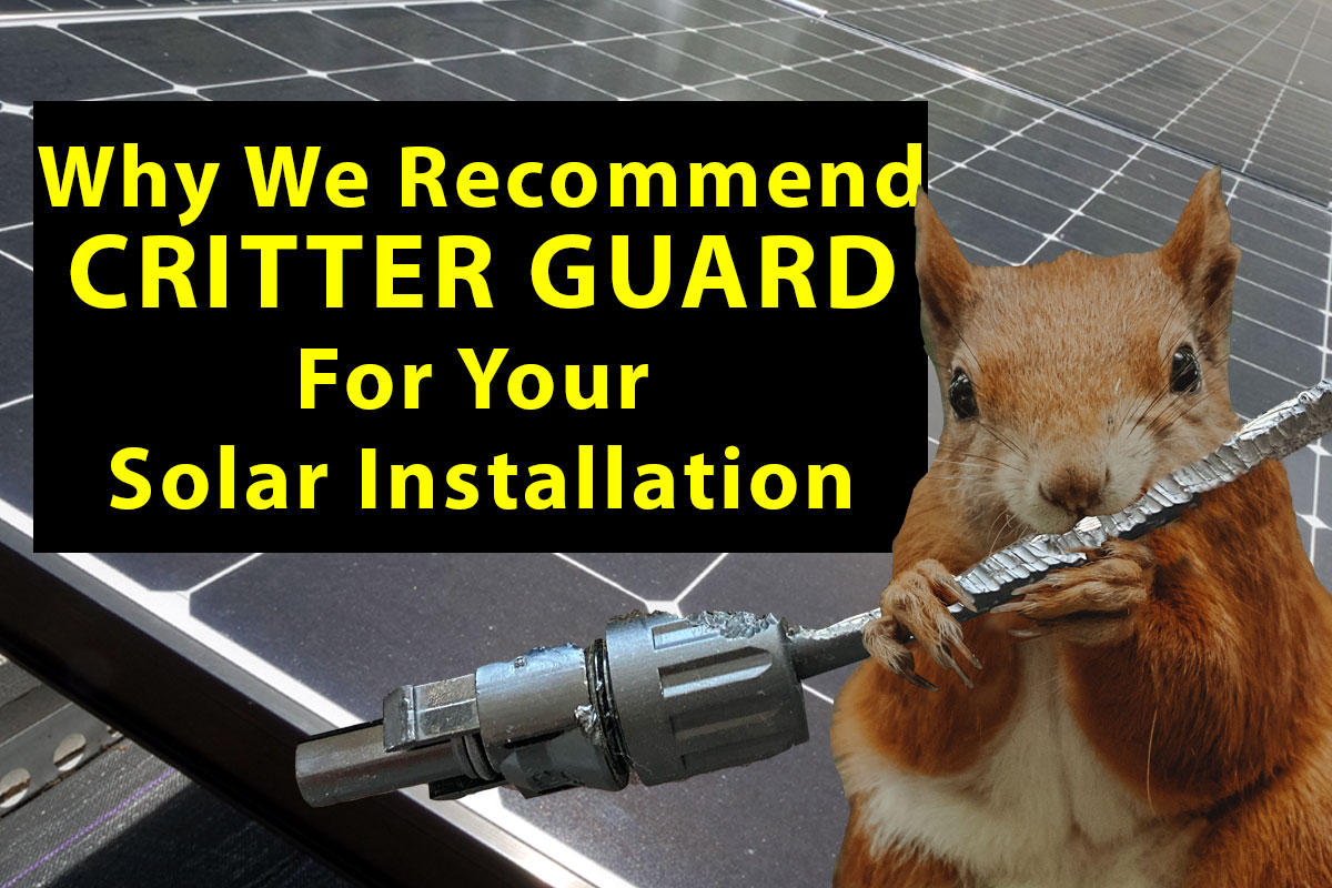 Why We Recommend Critter Guard for Your Solar Installation