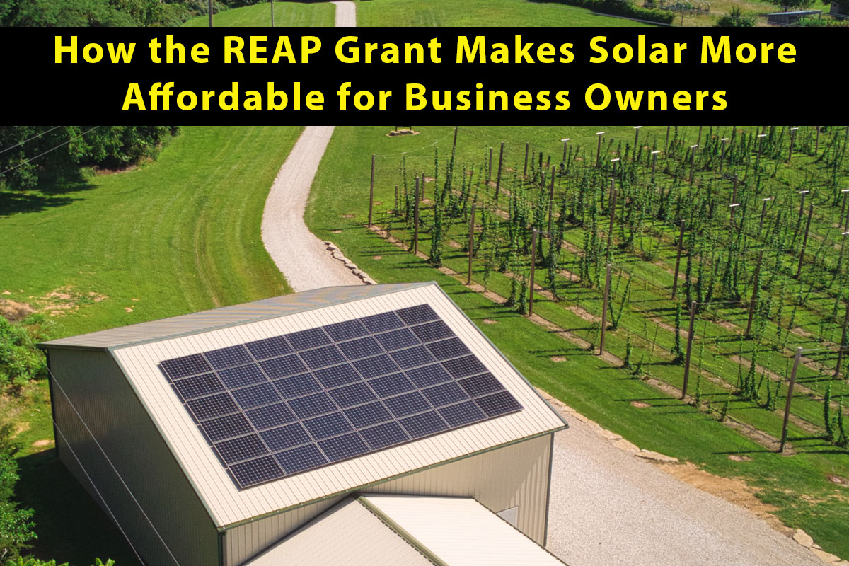 How the REAP Grant Makes Solar Affordable for Business Owners